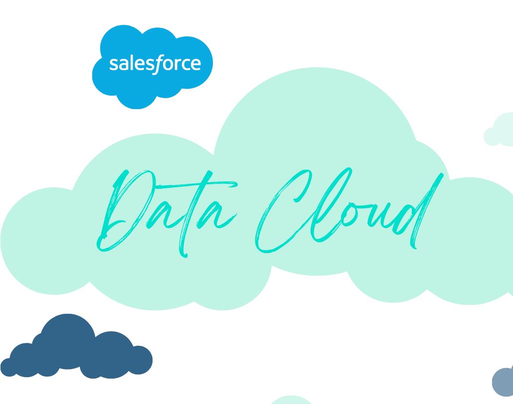 Introduction to Salesforce® Data Cloud - Mint