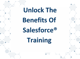 Unlock Salesforce® Training Benefits for End Users, Admins & Developers - Mint